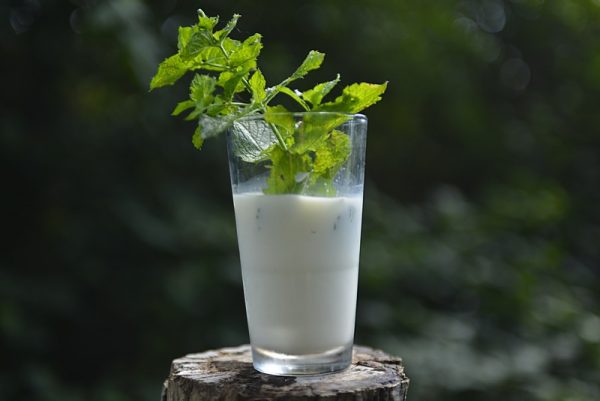 Frische Kuhmilch aus der Region – Gerry Konstanz